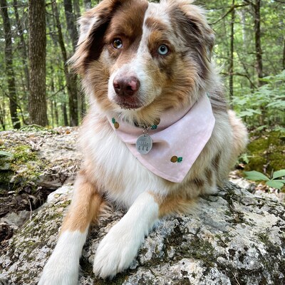 Pineapple Dog Tag : Custom Dog Tag Hand Crafted Hand - Etsy