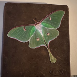 ONE Large Monarch Butterfly Migration Stickers Wall Art Decor for ...