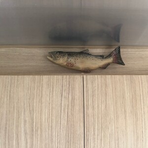 20 cm 3D wooden sculpture of fish Plotva Rutilus rutilus | Etsy