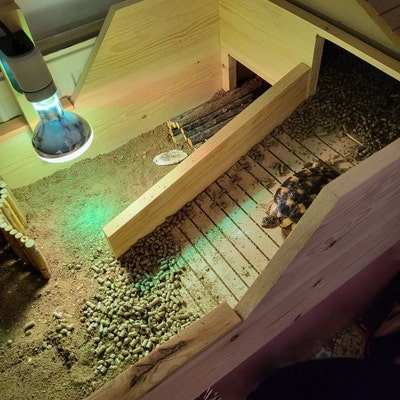 Tortoise House/lodge - Etsy UK