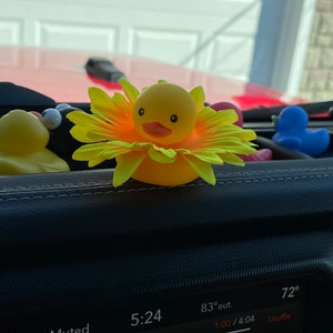 Signature Sunflower Ducks - Etsy