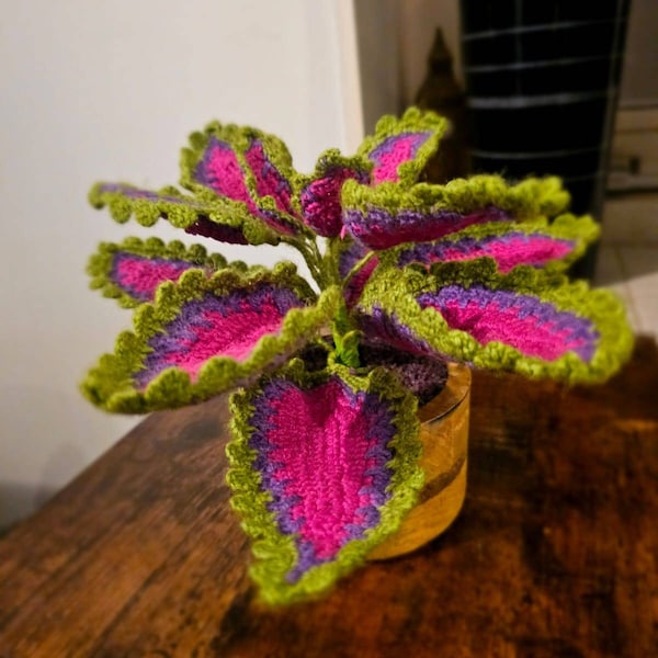 Crochet Coleus Pattern Photo Tutorial - Crochet Coleus Plant Pattern ...