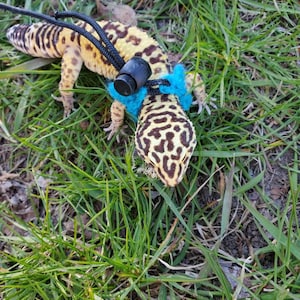 Leopard Gecko Small Lizard Harness - Etsy