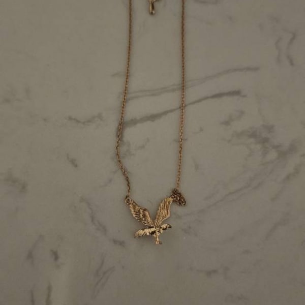 Flying Hawk or Eagle Pendant Necklace, Iowa Hawkeyes, Gold Plated ...