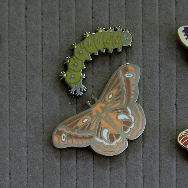 Cecropia Moth Pin Set - Etsy