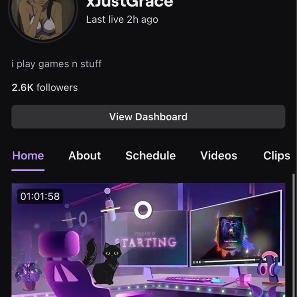 Twitch Panels ICE Wolf, Ice Wolf Panels for Streamers, Vtubers, OBS ...