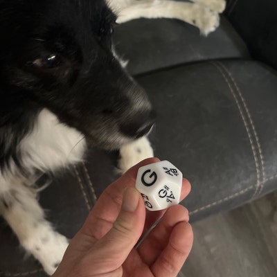 Key Signature Dice Bass Clef - Etsy