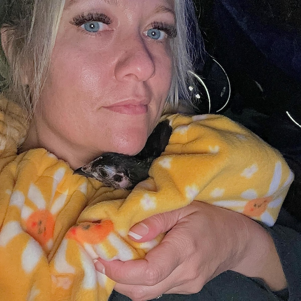 Critter Cuddler™ Small Animal Bonding Sling Pet Carrier | Handsfree ...
