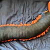Giant African Millipede Plush, Millipede Toy, Plush Bug, Plush Insect ...