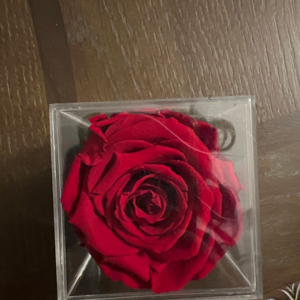 Wholesale XL Roseamor Ecuadorian Preserved Roses, High Quality PACK OF ...