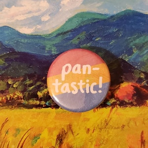 Pantastic Pan Pride Button Pin - Etsy