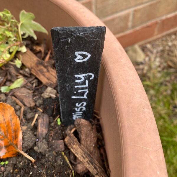 Handmade Slate Markers / Labels Packs of 10. Any Order Can Be Made ...