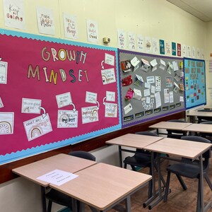 Modern Boho Plants Birthday Display Rustic Boho Classroom Decor ...