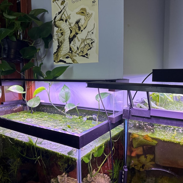 Aquaneat LED Light Riser, Attractive Stable Elevated Stand, Quality LED ...
