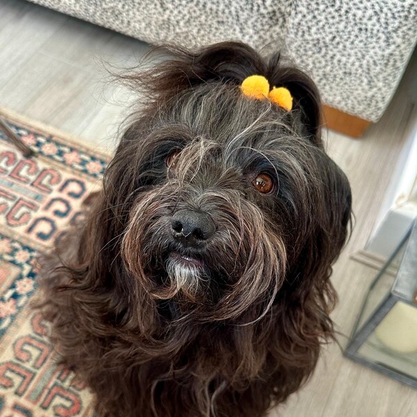 Gold Crystal Slides (pack of 10) - Etsy