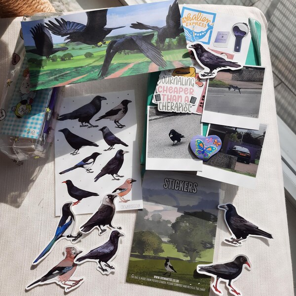 How to Draw Birds: of the Passerine Order - Etsy UK