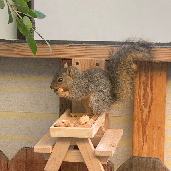 Unique Pair of Real 9mm Bullet Zipper Pull Charm or Keychain - Etsy