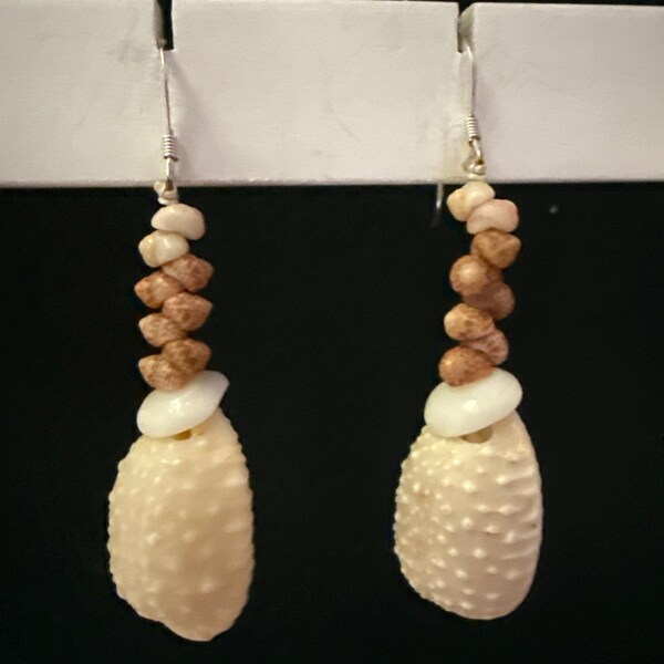 Shell Earrings Kauai Kahelelani Shell Earrings Hawaiian Momi Shell ...