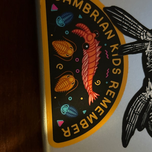 Cambrian Kids Remember Sticker / Cambrian Period / Anomalocaris ...