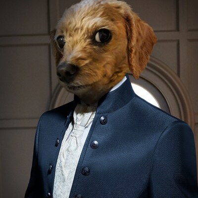 Custom Pet Portrait in Suit . Custom Dog Portrait in Suit . Custom Suit ...