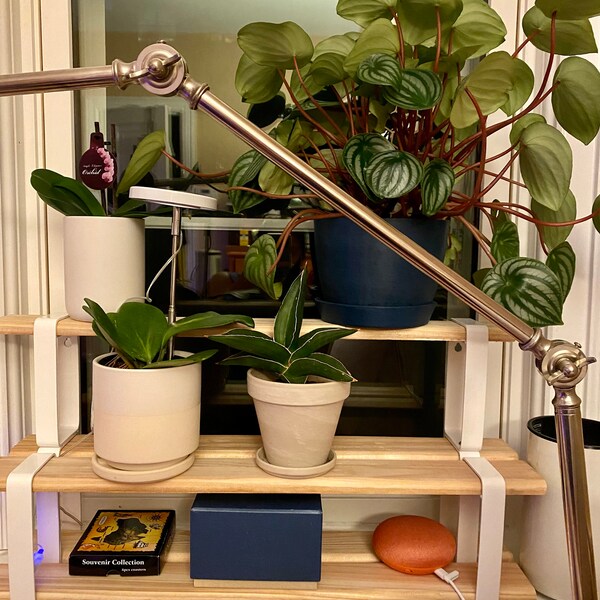 Multi-tier Wall/ Stand Display Shelf 3/5 Metal Frames 3 24 Redwood ...