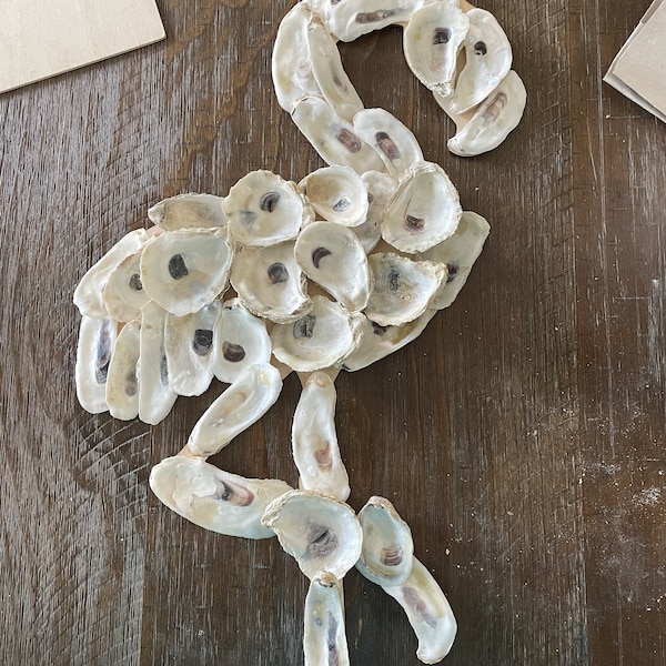 Bleached Oyster Shells, Cups and Flats, Bulk - Etsy