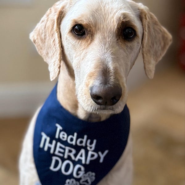 Dog Rescue Patch 3 Inch Round Patch Embroidered Rescue Dog Patch ...