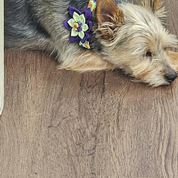 Keychain, Key Fob, Llama Keychain, Llama Key Fob, Animal Key Fob ...