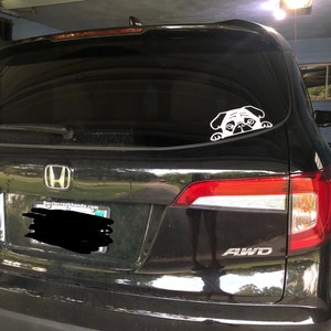 Peeking Pug 2 Car Truck Van Window or Bumper Sticker Vinyl - Etsy