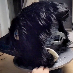 Custom Fursuit 3D Model - Etsy