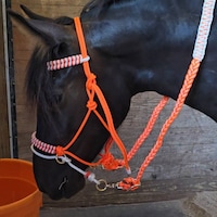 Soft Rope Halter Bitless Bridle Hackamore Diamond Paracord Overlay With ...