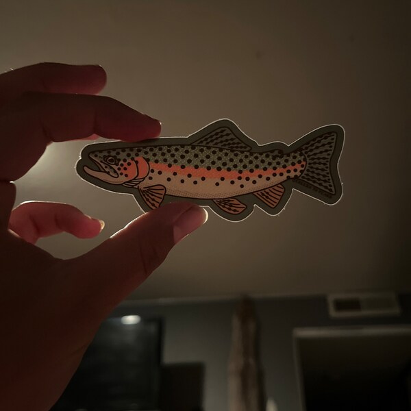 Brook Trout Pattern Flank Decal Sticker - Etsy