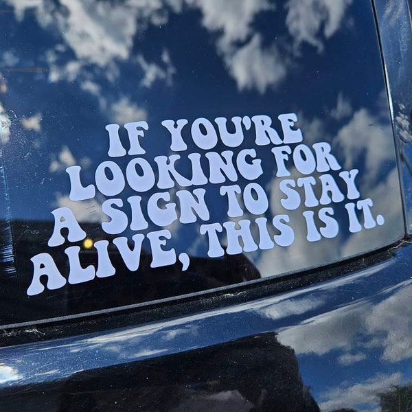 Drive Safe Someone Loves You - Car Decal - Car Sticker - Self Love ...