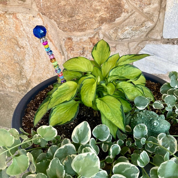 Warty Frog, Toad, Little Frog Prince, Frog Statue, Concrete, Stone Frog ...