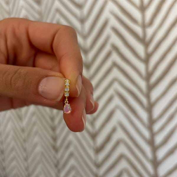 Moo Deng Illustration, Moo Deng Drawing, Ink Drawing, Acrylic Paint ...