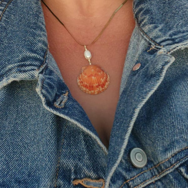 25+ Scallop Sea Shells, Florida Scallops, Sanibel Scallop Shells ...