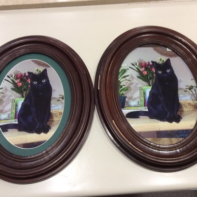 Picture Framing Mat Oval Opening Two Layer Matting Choose Size - Etsy