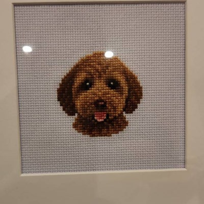 Goldendoodle Cross Stitch Pattern PDF Bundle Goldendoodle Cream Cream ...