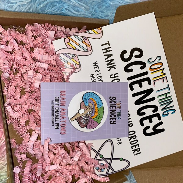 Animal Cell Diagram Poster - A4 - Labelled, Cell Biology, GCSE, A-level ...