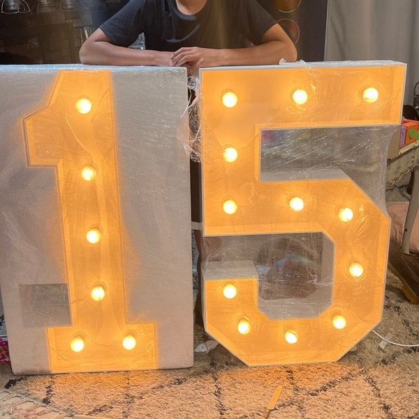 Light up Numbers, Birthday Numbers, Giant Event Numbers, Large Lighted ...