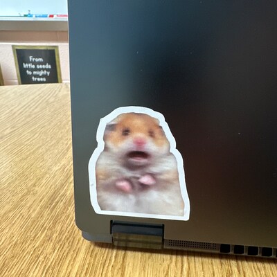 Surprised Shock Hamster Meme Funny Car Bumper Sticker Interior or ...