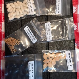 20 Japanese Good Luck F1 Burpless Cucumber Seeds Heat - Etsy