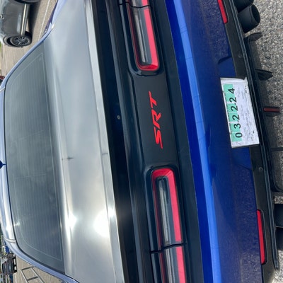 RAM TRX Bedside Decals TRX Eating Raptor Easter Egg Logo set of 2 - Etsy