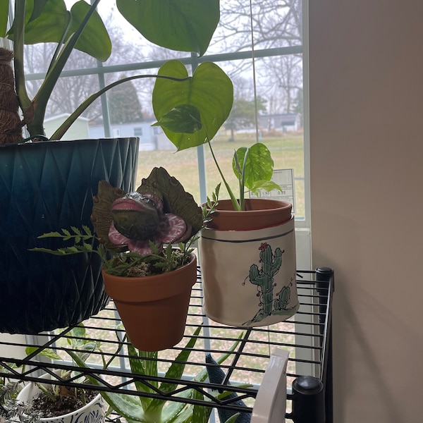 Baby Audrey 2 - Etsy