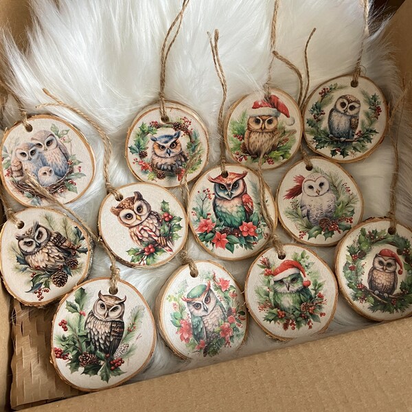 Winter Owls Watercolor Clipart Bundle -354 PNG Snowy Christmas Owl ...