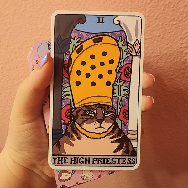 The Original Sad Cat Meme Spiral Journal Notebook, Sad Cat Meme, Crying ...