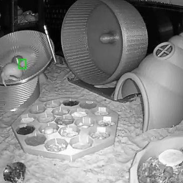 The Original 3D Printed Hermit Crab Wheel: Merry-go-round, 3-8 Inch - Etsy