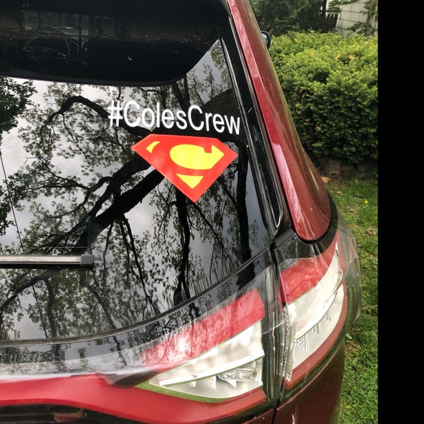 Custom Vinyl Decal; Personalized DIE CUT Decal; DIY Decal; Custom Car ...
