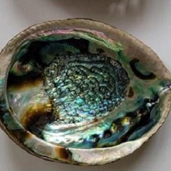 8 Inch Wood Stand Hand Crafted Folding Tripod Stand for Display of ...