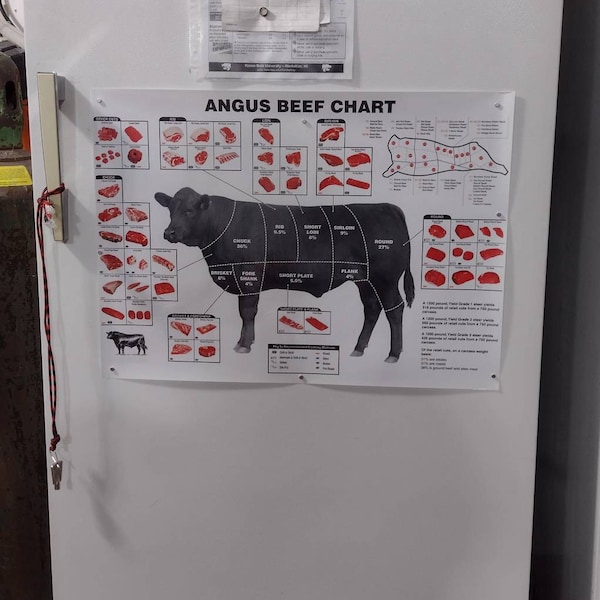 Angus Beef Butcher Chart Laminated Poster - Etsy